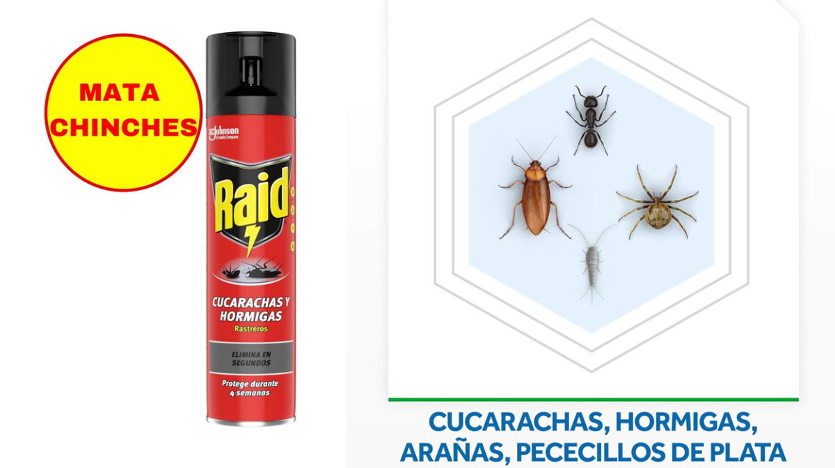 Elimina de tu casa a los visitantes rastreros con el insecticida por ...